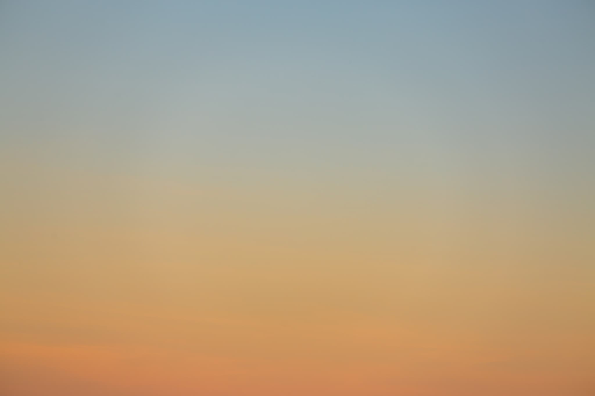 Online Transparent Video Test - Instant & Free | Rotato