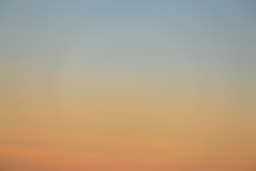 Online Transparent Video Test - Instant & Free | Rotato